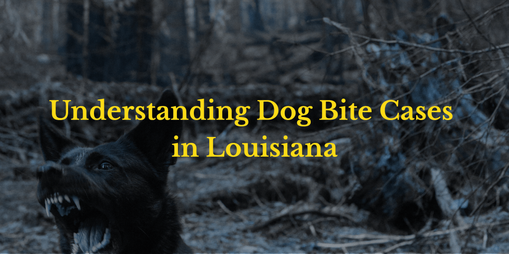 Understanding Dog Bite Cases in Louisiana: Your Rights and Legal ...